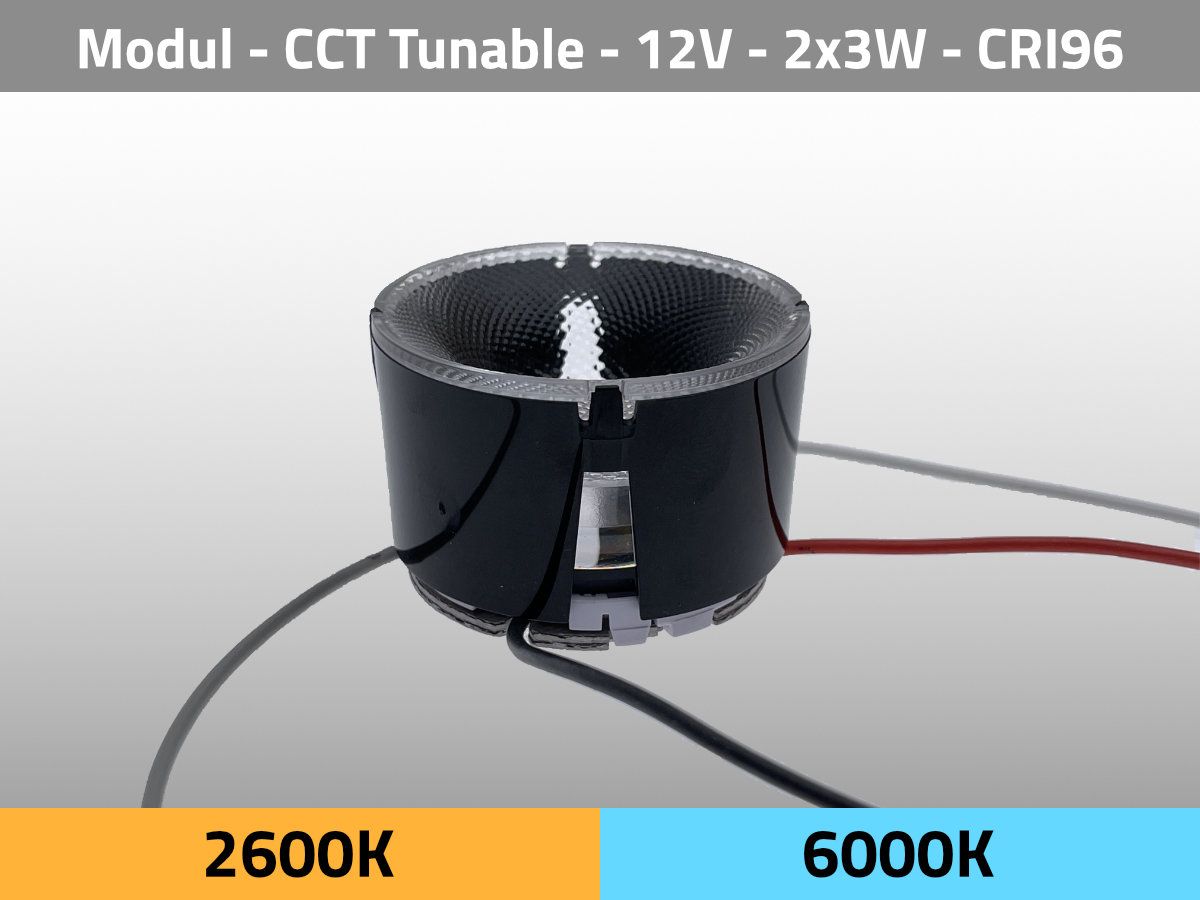 LED Modul COB12 12V 2x3W 2600K 6000K CCT Tunable CRI96 TLCI95 | GKORE ...